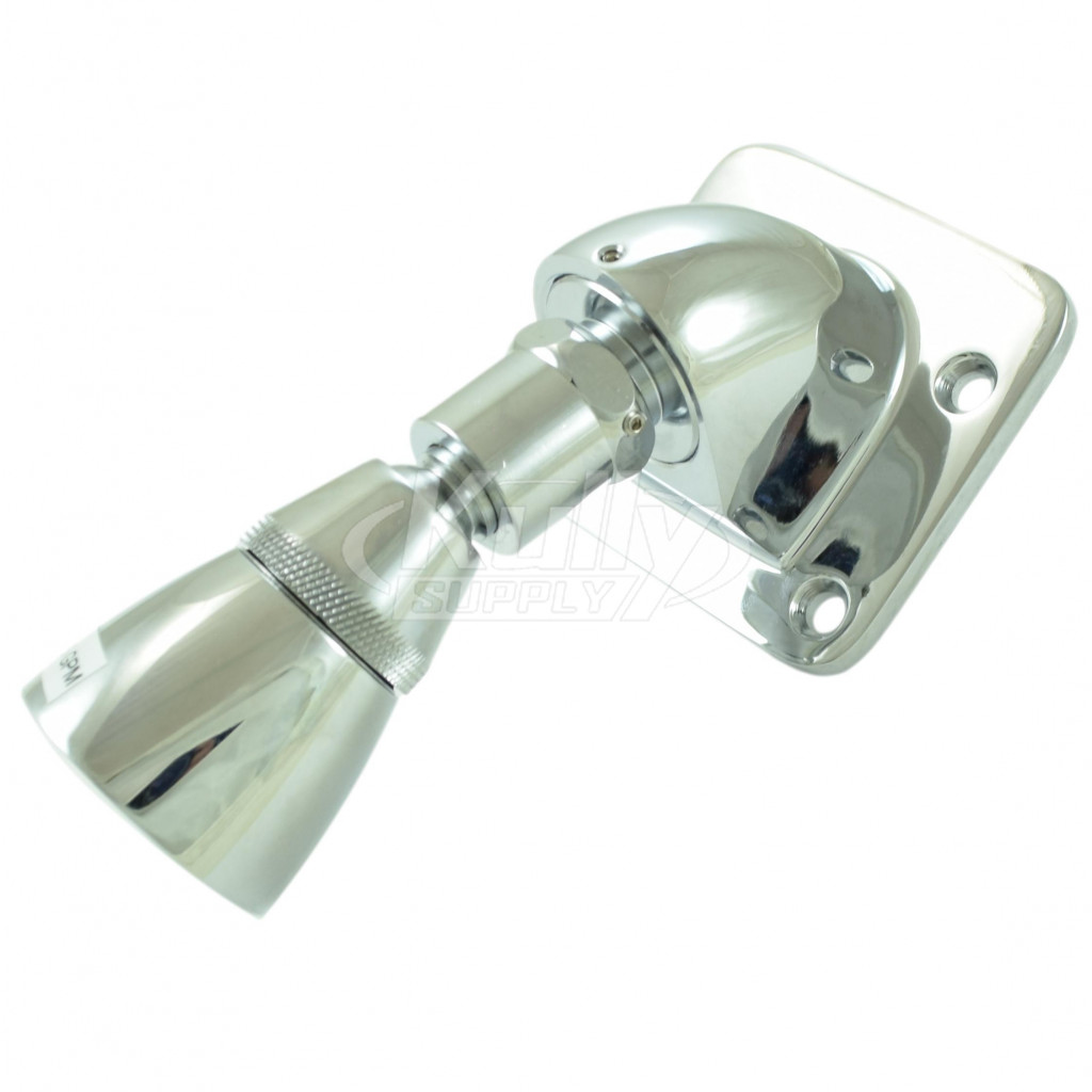 Zurn Z7000-i6-AQ Institutional Wall Mount w/ Standard Shower Head ...